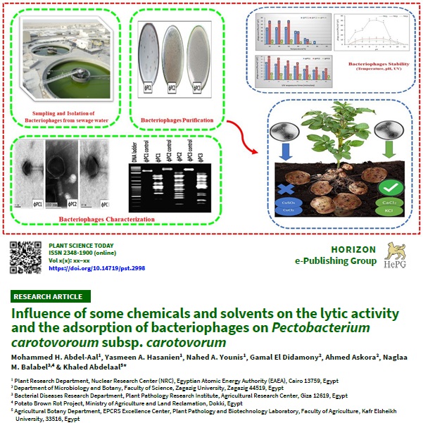 Influence of some chemicals and solvents on the lytic activity and the ...